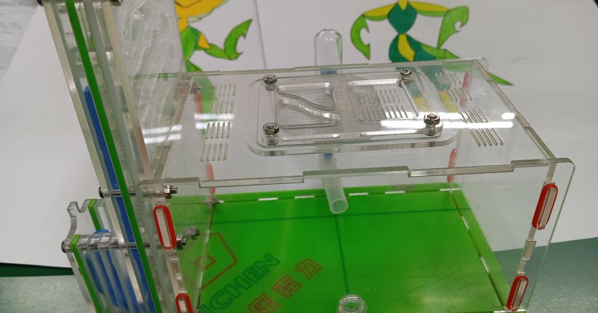 KOLLELLA AYELÉN « daleProfe - Proyectos