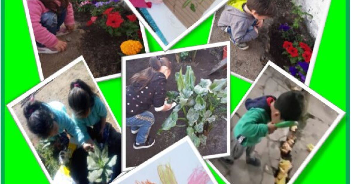 EXPLORANDO Y CUIDANDO LOS COLORES DE LA NATURALEZA « daleProfe - Proyectos