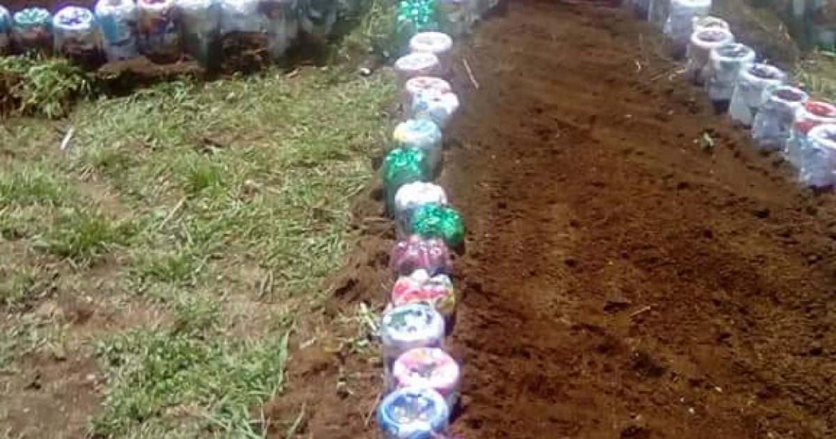 SIEMBRO Y COSECHO EN MI LICEO « daleProfe - Proyectos