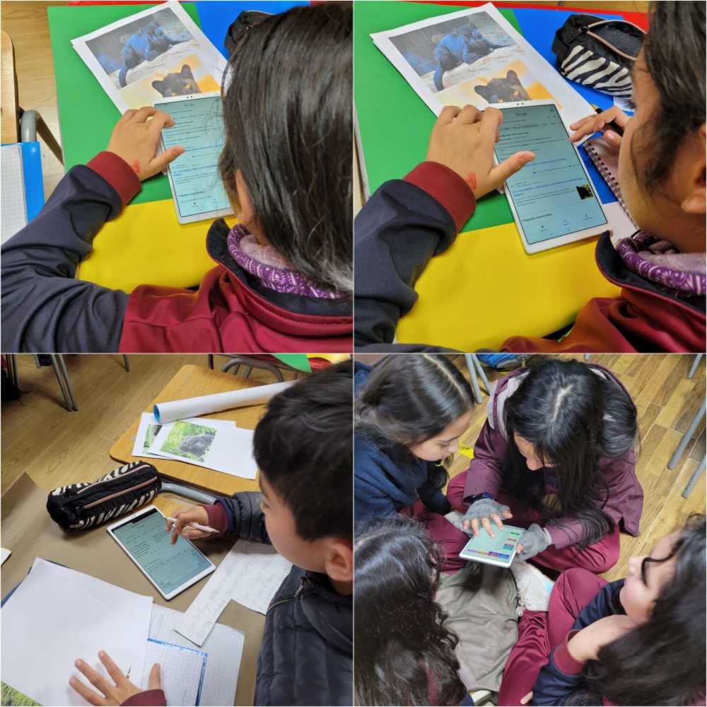 COMPUTECRA « daleProfe - Proyectos