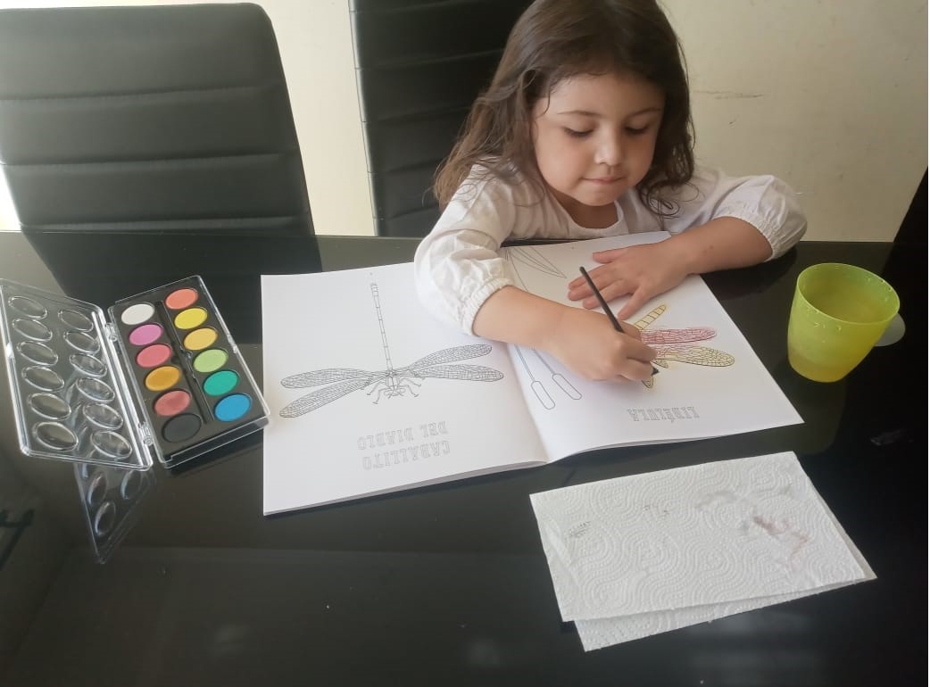 EXPLORANDO Y CUIDANDO LOS COLORES DE LA NATURALEZA « daleProfe - Proyectos